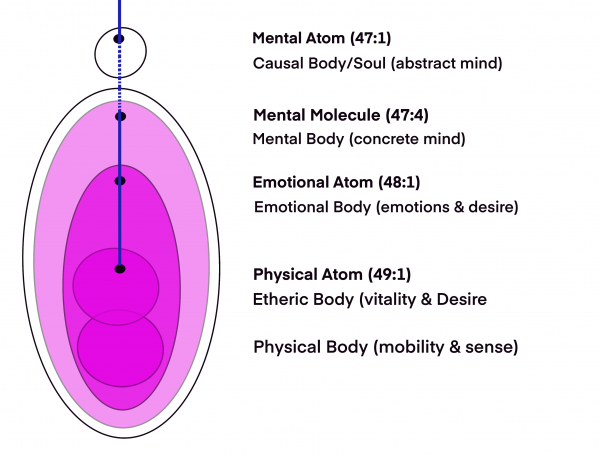 9. Subtle Bodies - Adventures of the Monad